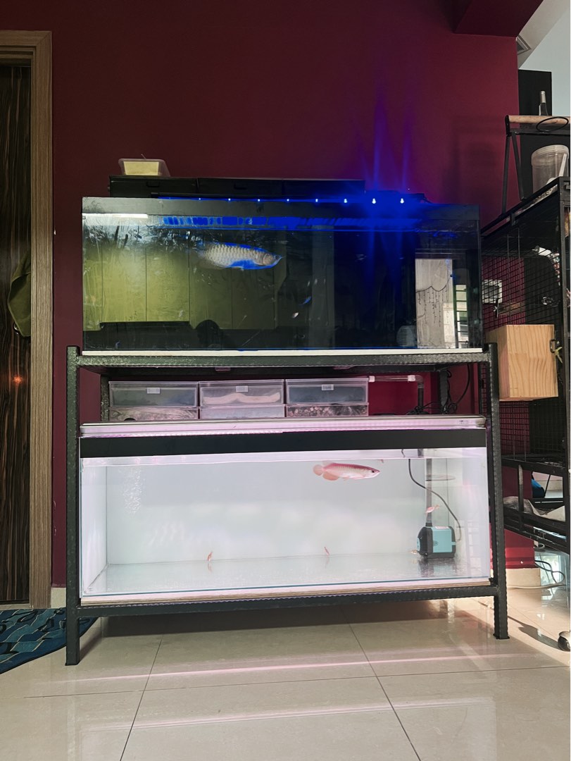 Aquaman Acrylic To Feet Aquarium Fish Tank, 41% OFF