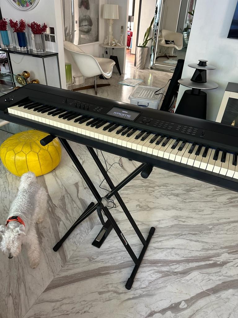Korg Krome 88 Key Workstation, Hobbies & Toys, Music & Media, Musical ...