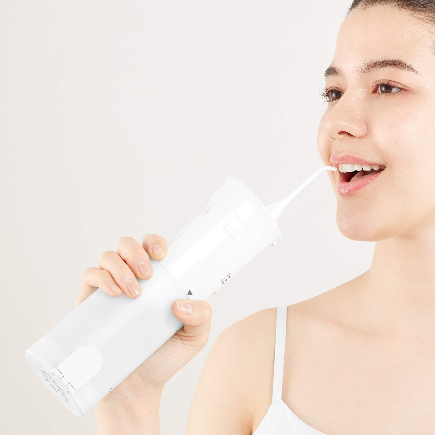 Panasonic Portable Water Flosser, 2-Speed Battery-Operated Oral ...