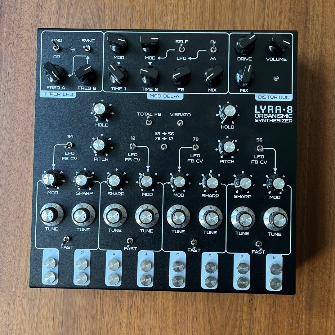 Soma Lyra-8 synthesizer, Hobbies & Toys, Music & Media, Musical ...