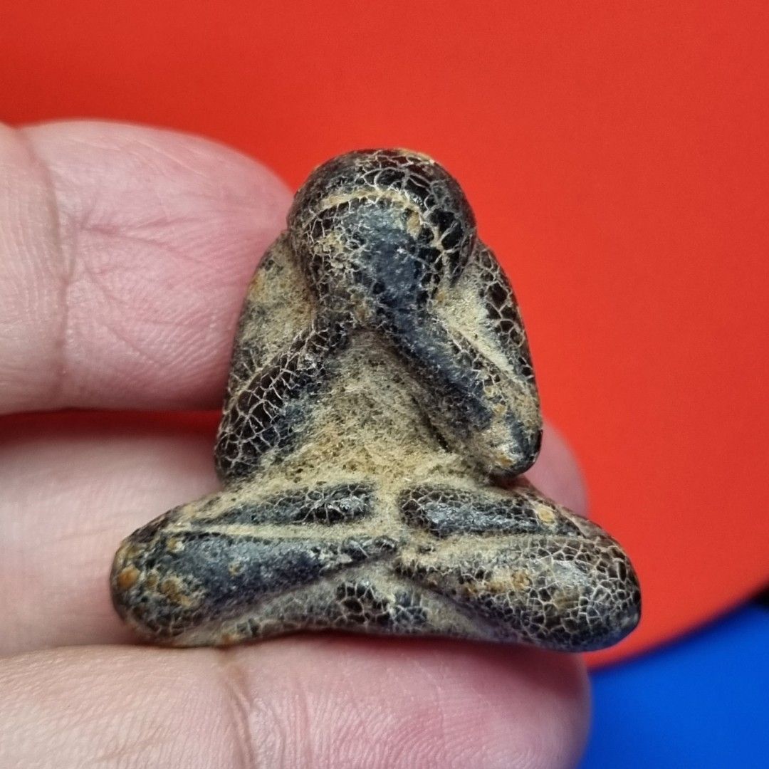 Tok Raja Snake Skin Pidta BE 2480, Everything Else on Carousell