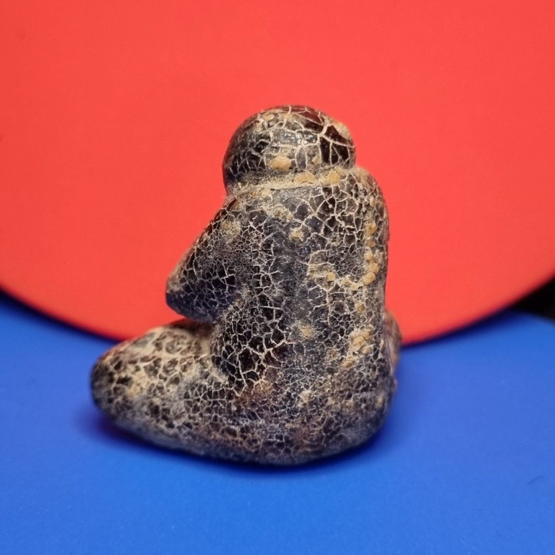 Tok Raja Snake Skin Pidta BE 2480, Everything Else on Carousell