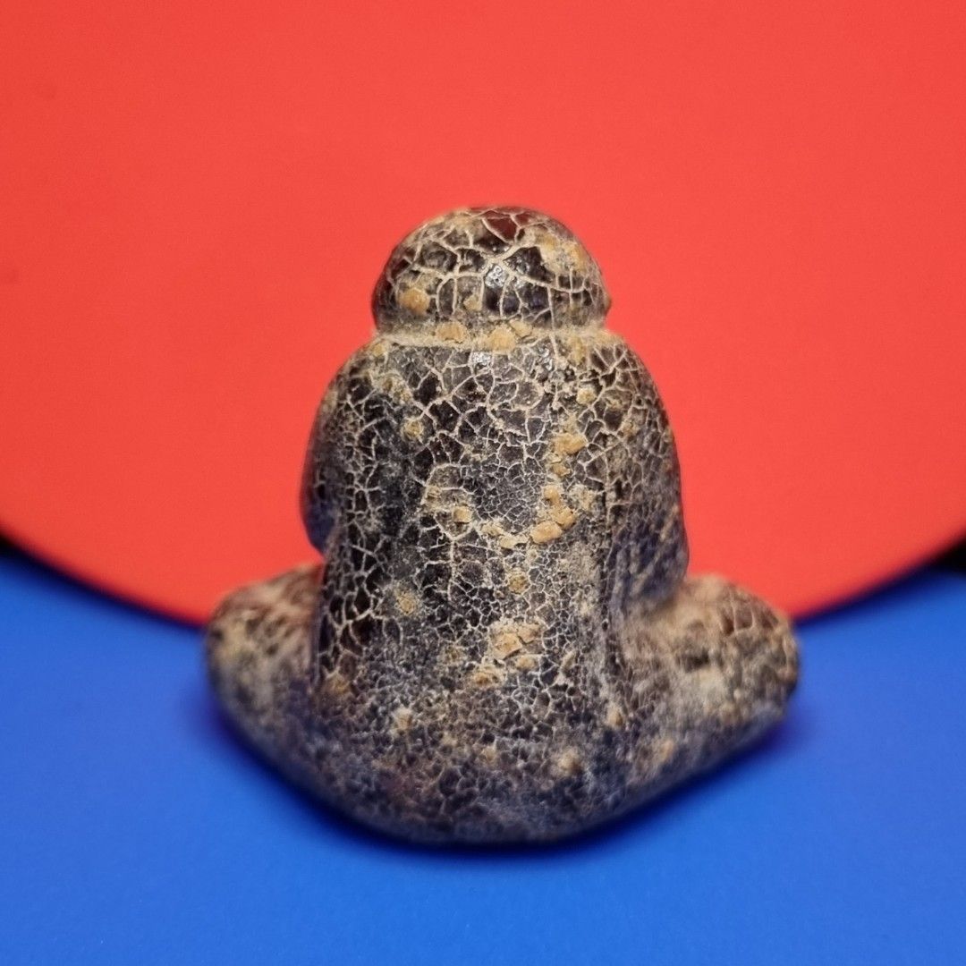 Tok Raja Snake Skin Pidta BE 2480, Everything Else on Carousell