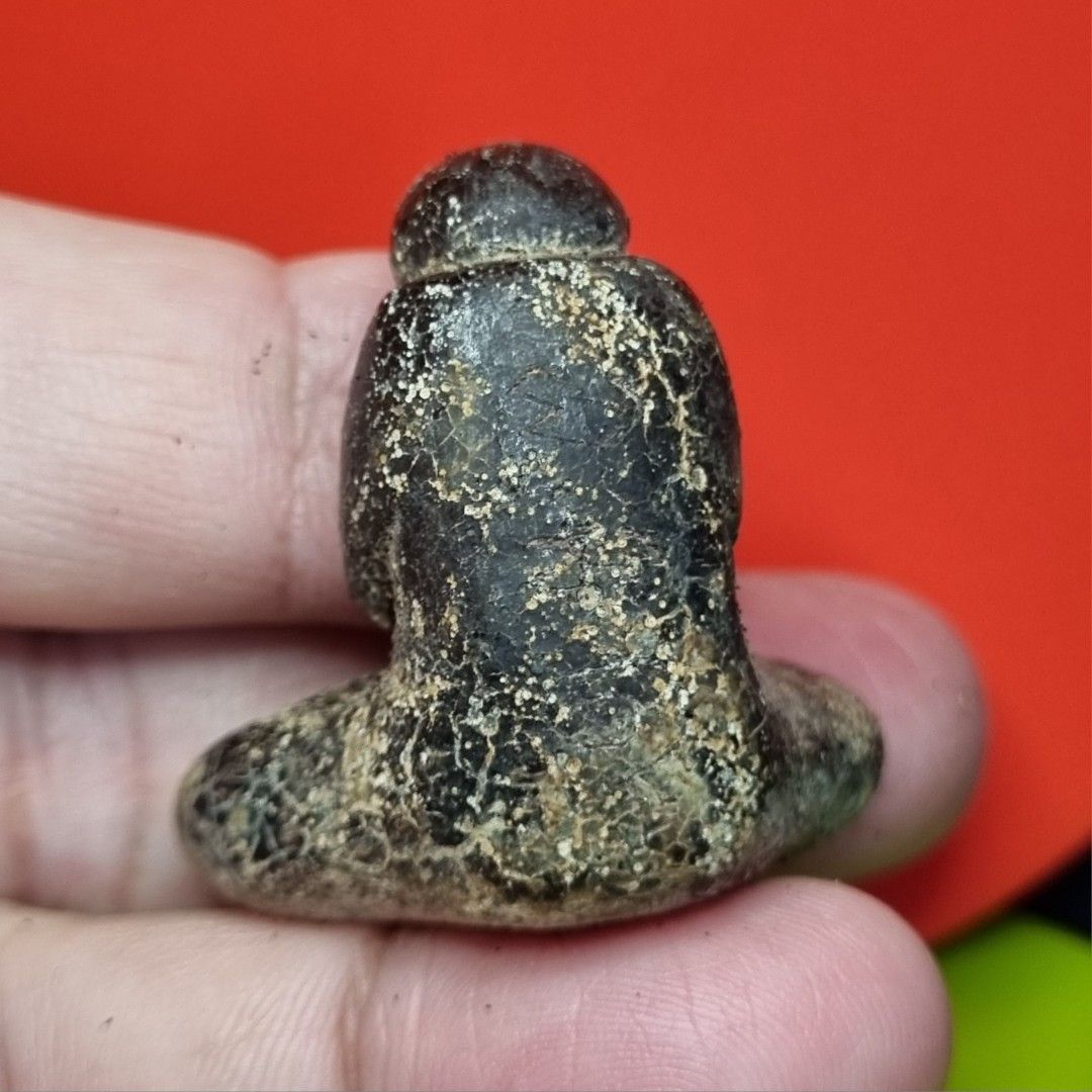 Tok Raja Snake Skin Pidta BE 2480, Hobbies & Toys, Memorabilia ...