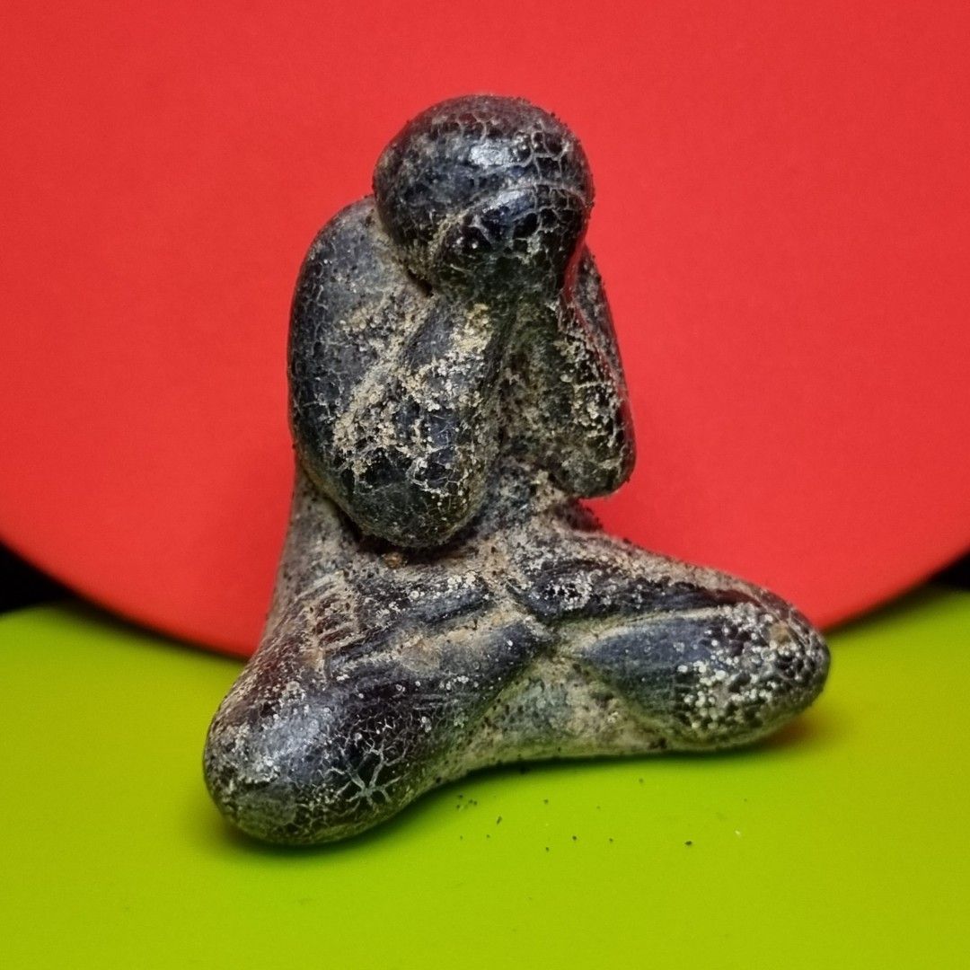 Tok Raja Snake Skin Pidta BE 2480, Hobbies & Toys, Memorabilia ...