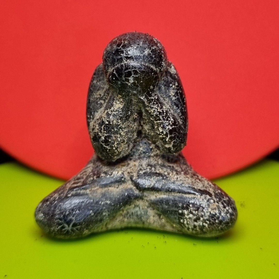 Tok Raja Snake Skin Pidta BE 2480, Hobbies & Toys, Memorabilia ...