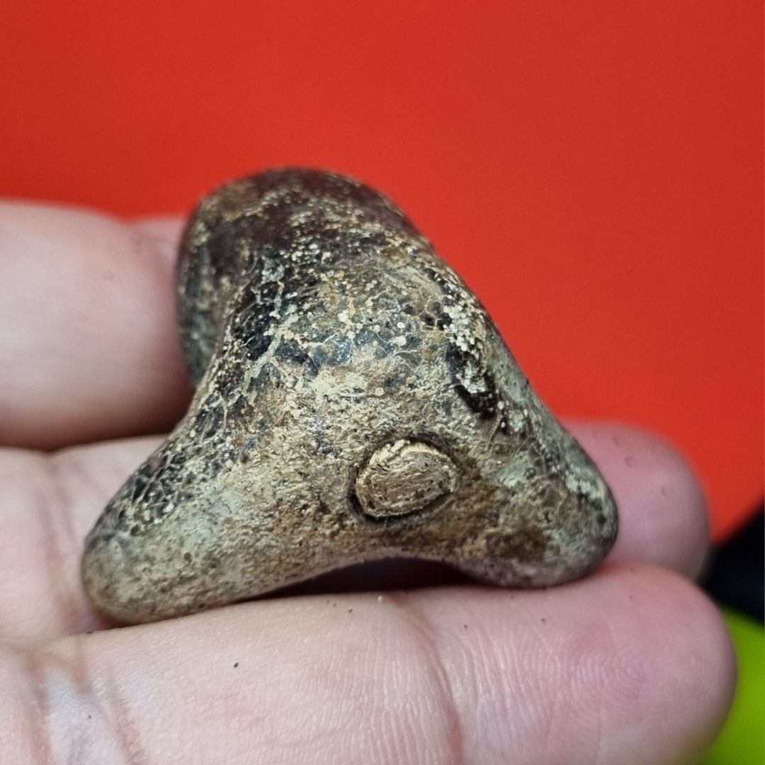 Tok Raja Snake Skin Pidta BE 2480, Hobbies & Toys, Memorabilia ...