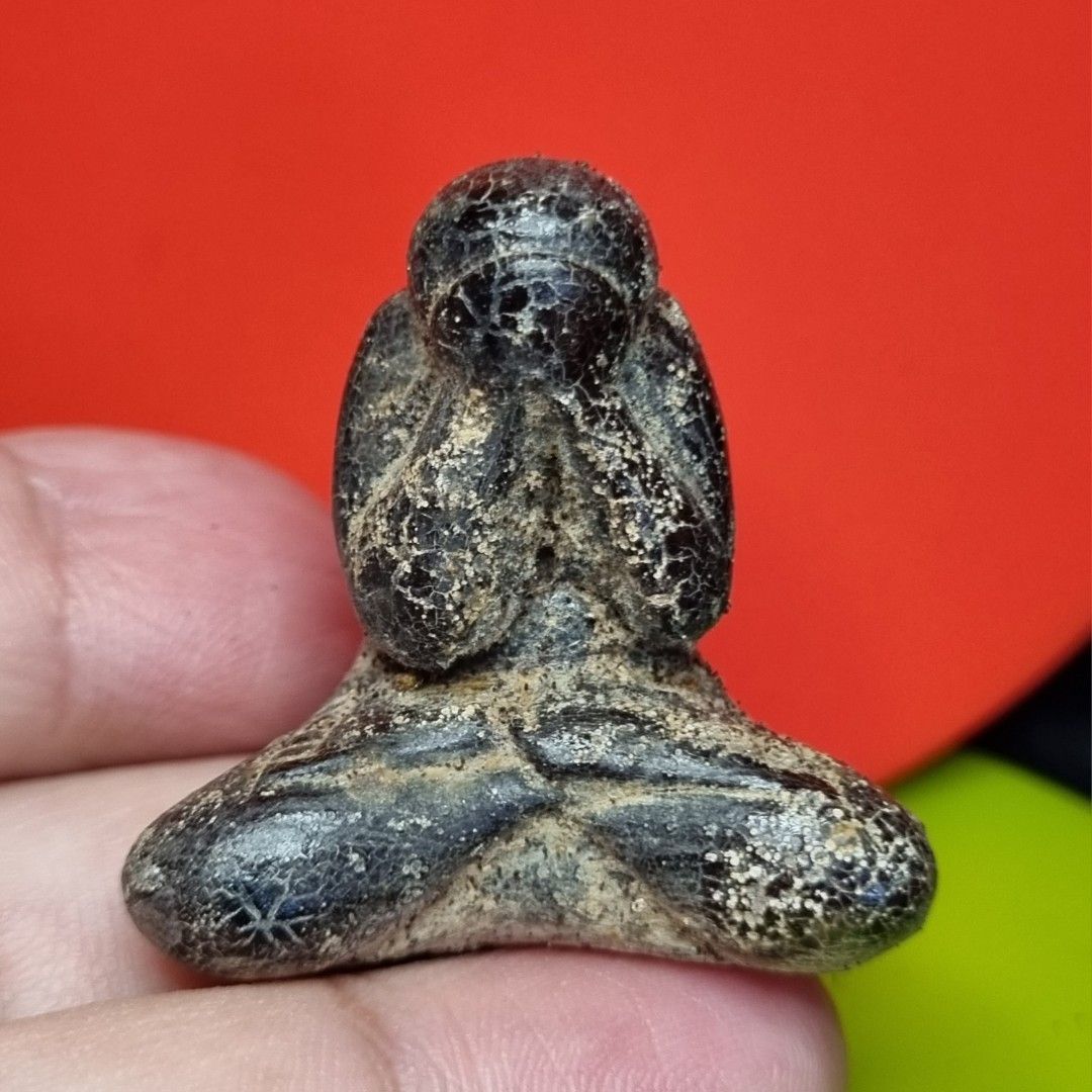 Tok Raja Snake Skin Pidta BE 2480, Hobbies & Toys, Memorabilia ...