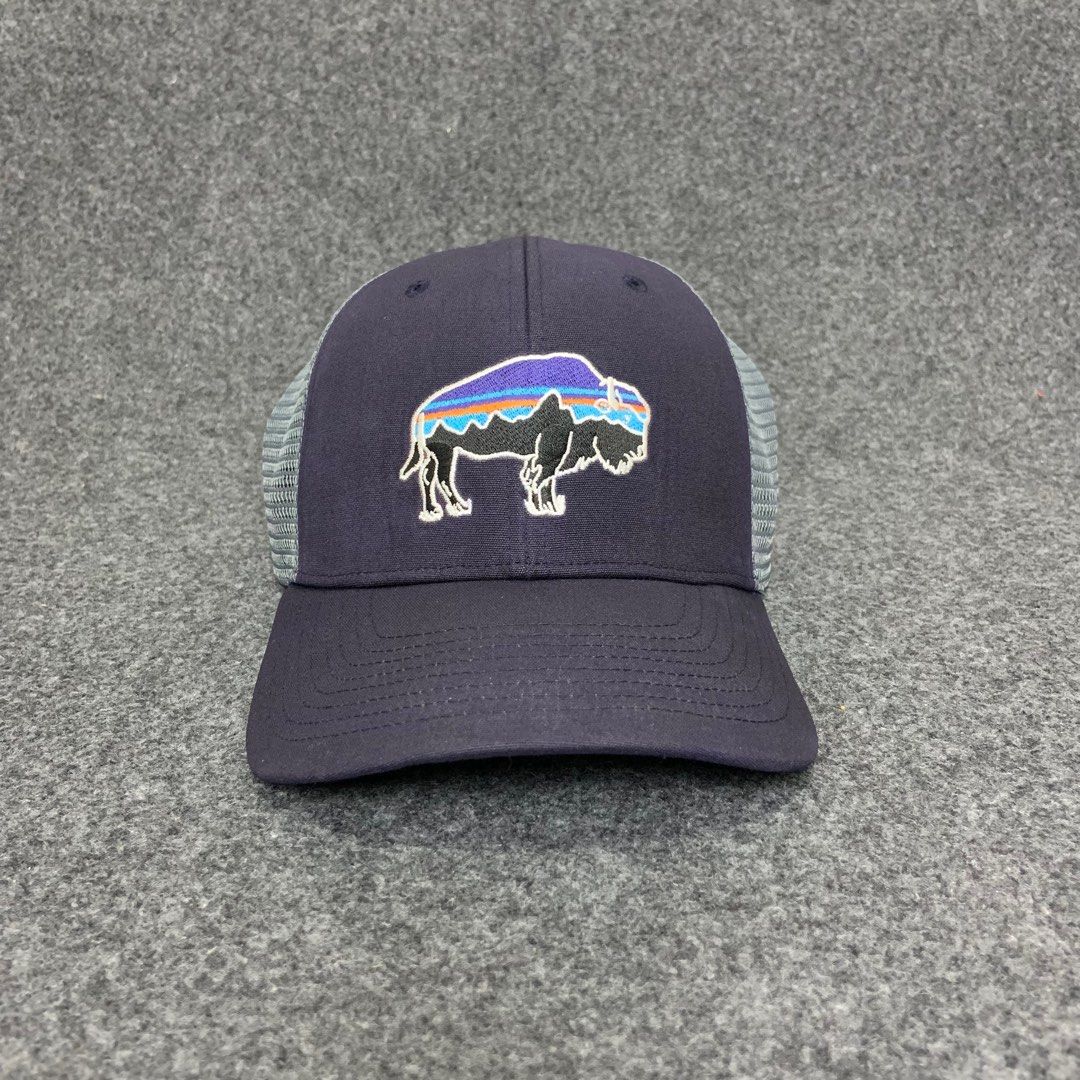 Topi Patagonia Original second - Patagonia Fitzh Roy Trucker Cap ...