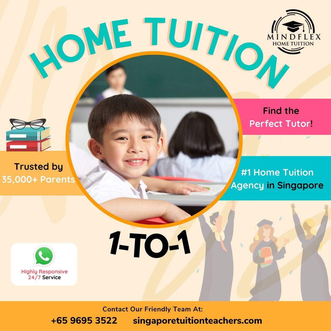1-To-1 Private Home Tuition Tutor PSLE O N A Level IB IGCSE AP Preschool Kindergarten Primary ...