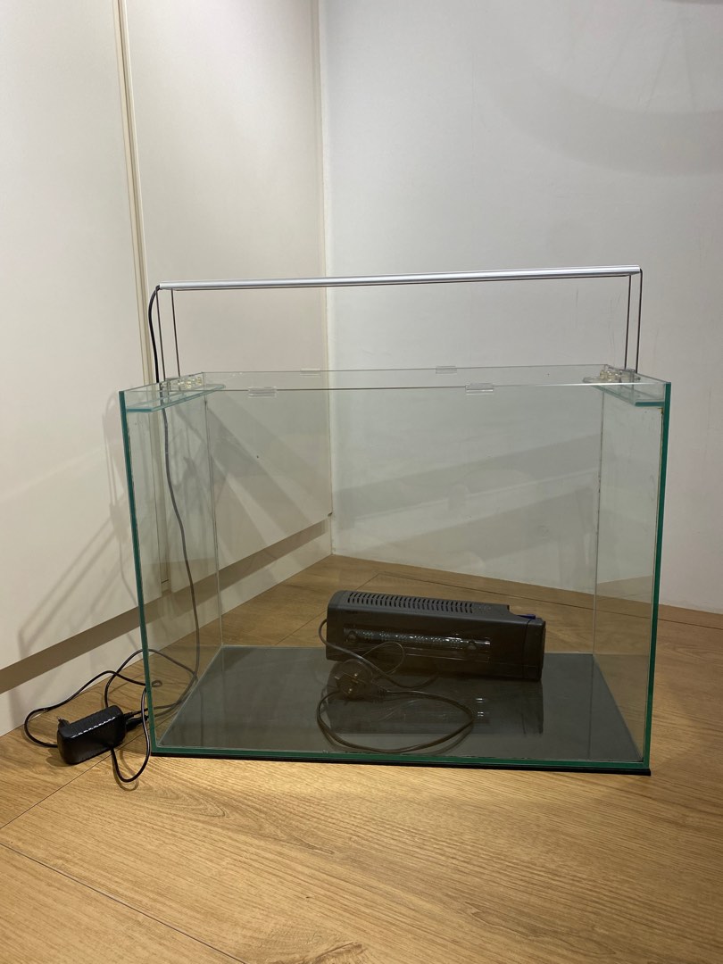 2ft Tank with Internal Filter & Light, Pet Supplies, Homes & Other Pet ...
