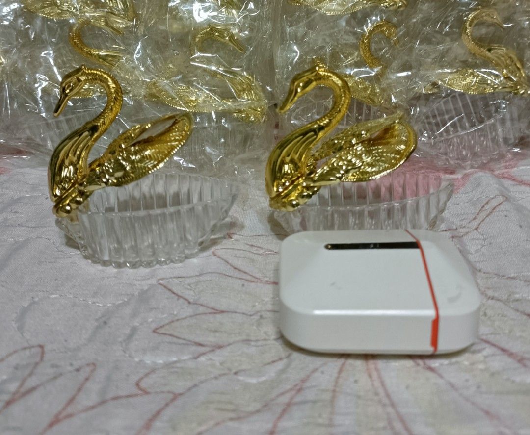 Bunga rampai bekas, Everything Else on Carousell