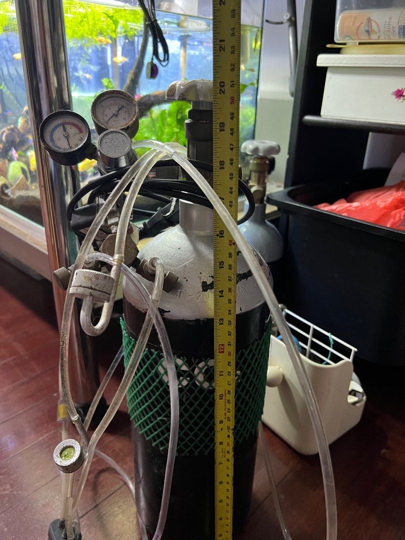 C02 tank with diffuser and splitter, Pet Supplies, Homes & Other Pet ...