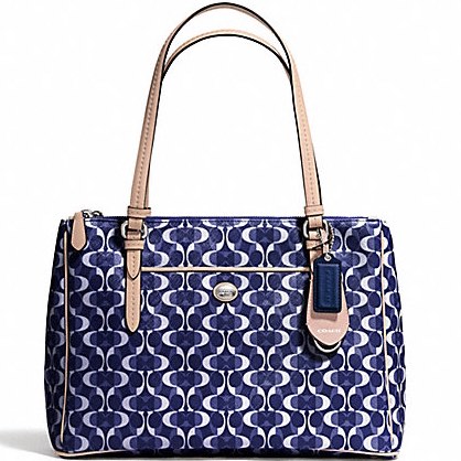 COACH PEYTON DREAM C JORDAN DOUBLE ZIP CARRYALL , Luxury, Bags ...