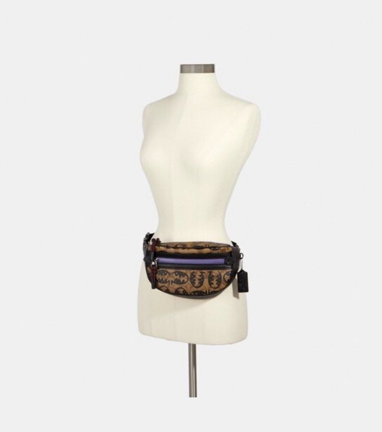 Coach vale bum bag in signature canvas with rexy, Luxury, Bags ...
