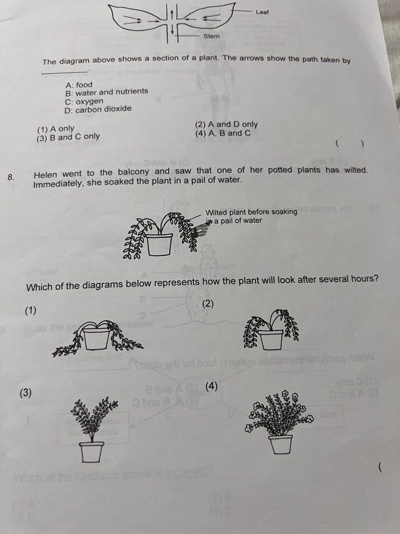 Primary 6 Science Topical Open Ended Questions PSLE, Hobbies & Toys ...