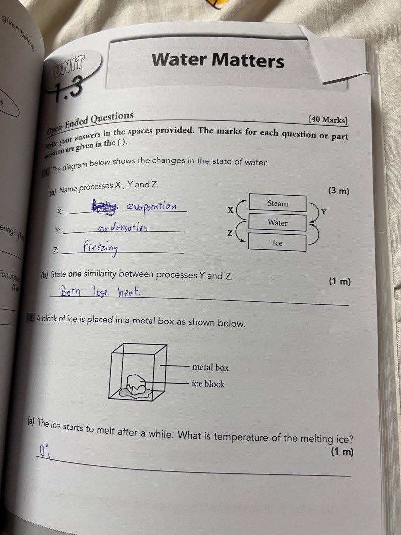 Primary 6 Science Topical Open Ended Questions PSLE, Hobbies & Toys ...
