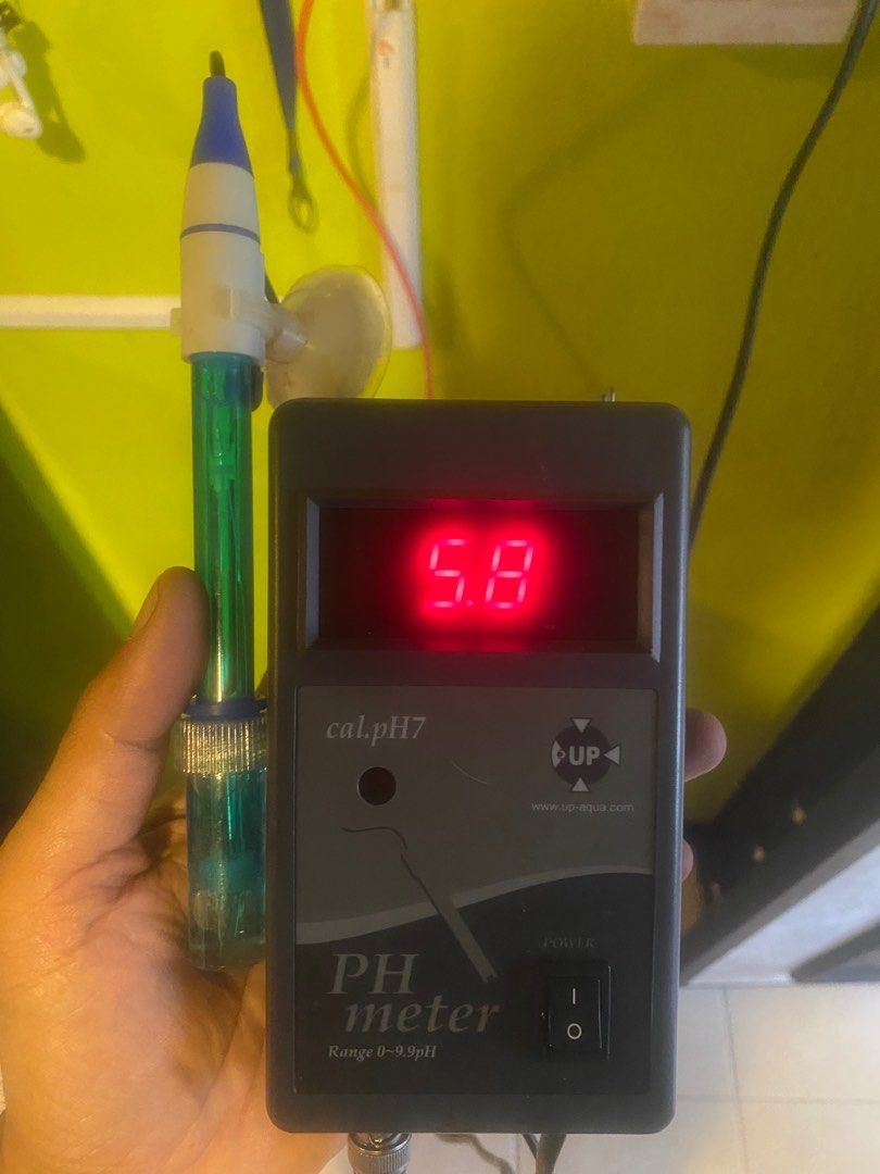 Ph meter, Pet Supplies, Homes & Other Pet Accessories on Carousell