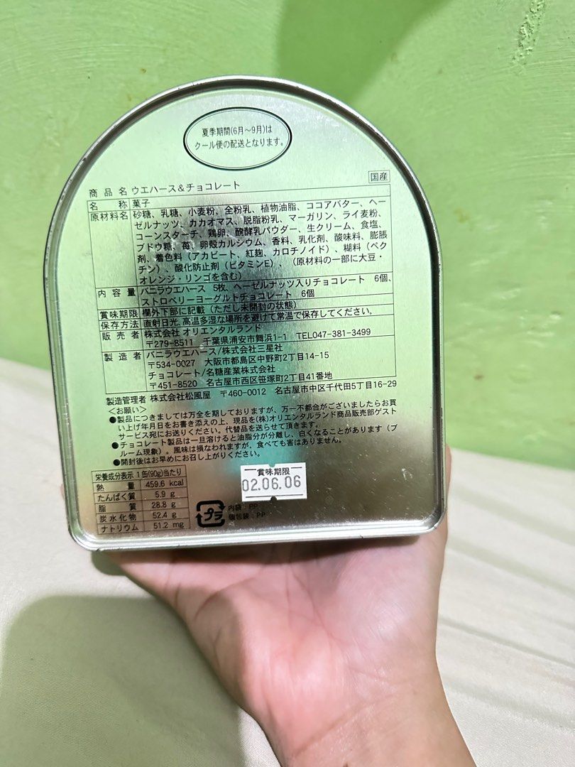 Tin Can Disney Tokyo Train, Hobbies & Toys, Toys & Games on Carousell