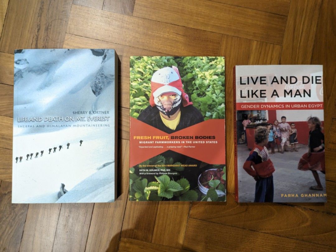 Assorted IB textbooks (Literature/Langlit, Anthropology, Math/MAI ...