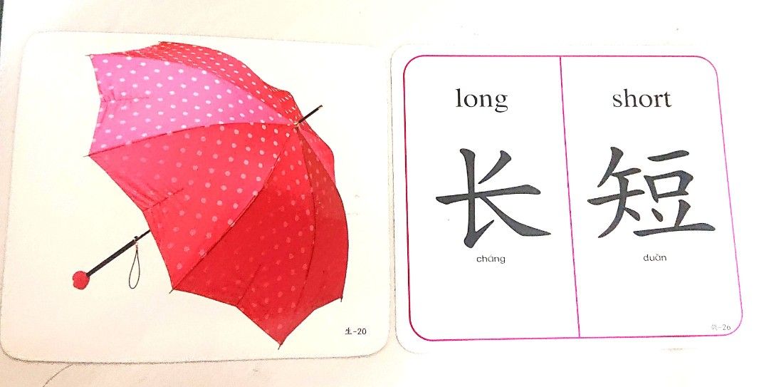English & Chinese Flashcard, Babies & Kids, Infant Playtime on Carousell