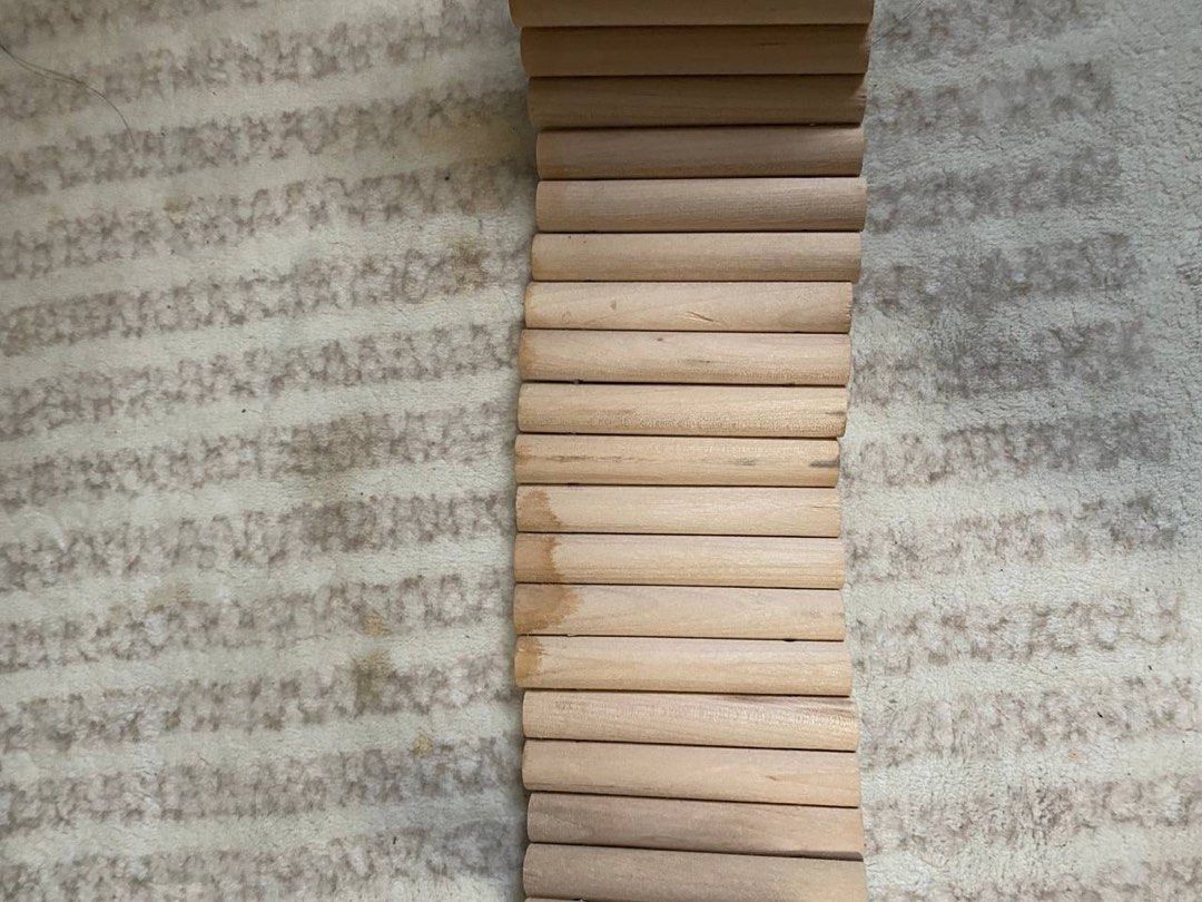 bendy hamster bridge, Pet Supplies, Homes & Other Pet Accessories on ...