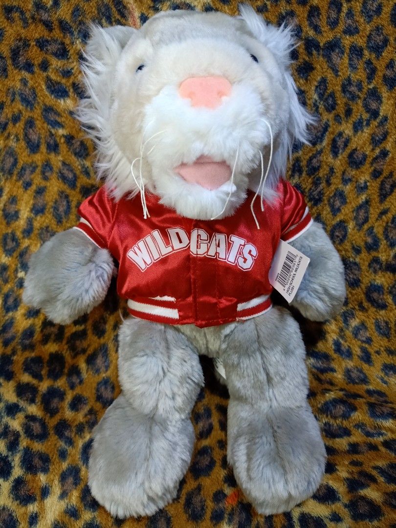 BRAND NEW DISNEY HIGH SCHOOL MUSICAL ON TOUR WILDCATS PLUSH TOY ...