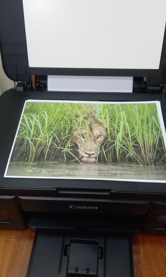 Canon Printer G3000 System Tank, Computers & Tech, Printers, Scanners ...