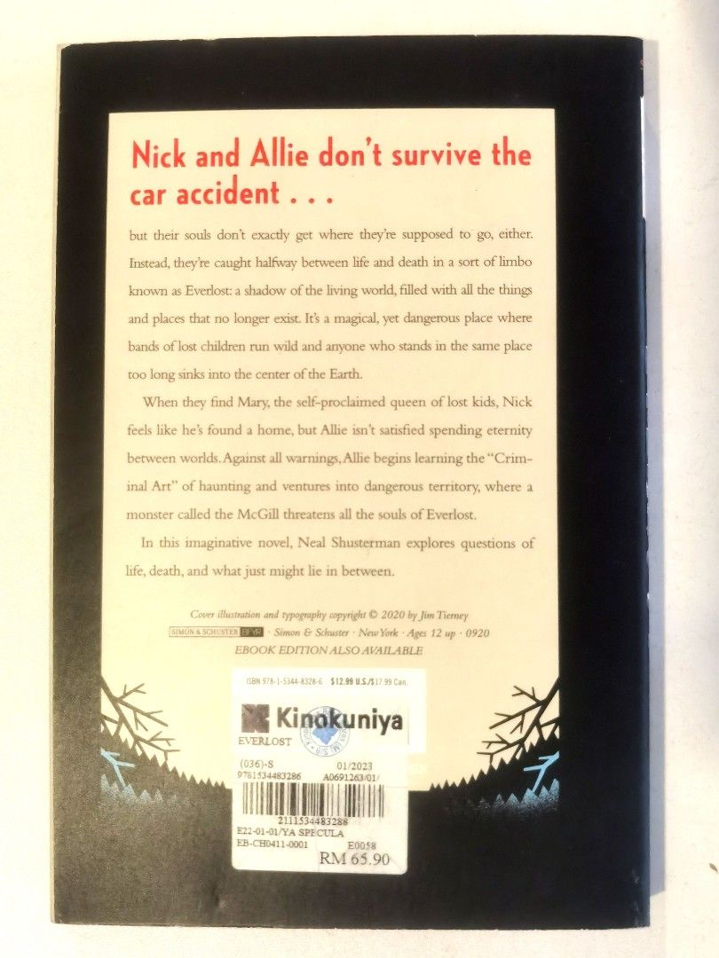 Everlost Book By Neal shusterman, Hobbies & Toys, Books & Magazines ...