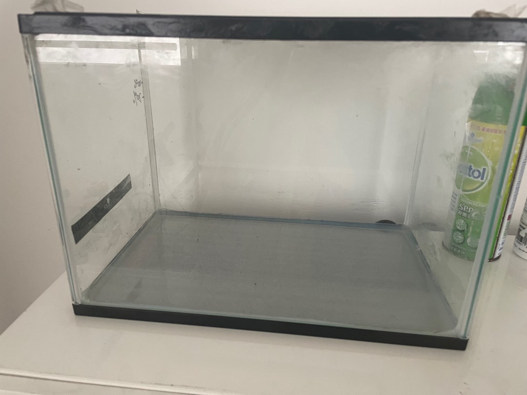 Fish tank gex 5 gallon, Pet Supplies, Homes & Other Pet Accessories on Carousell