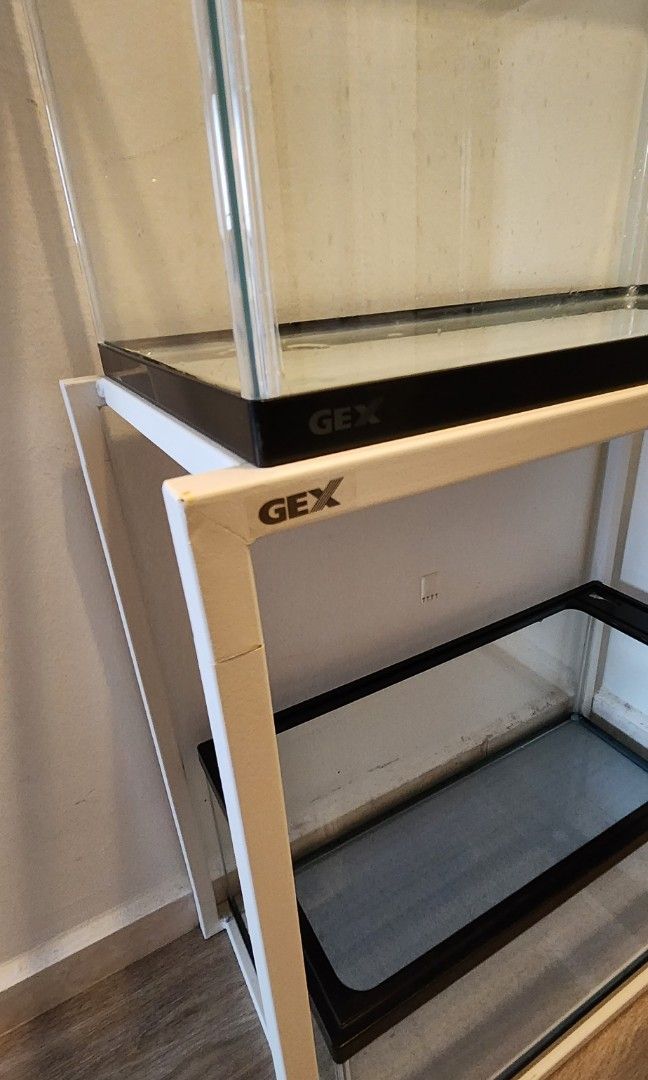 GEX fish tank rack with 2x acrylic tanks, Pet Supplies, Homes & Other ...