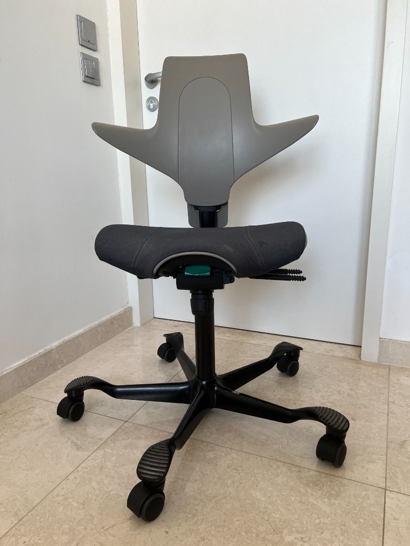 HAG Capisco Puls 8020 - Black/ Clay, Furniture & Home Living, Furniture ...