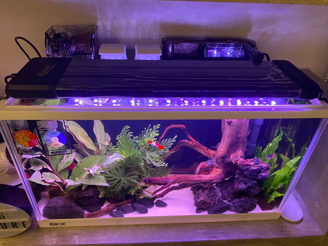 Hugger Smart App Aquarium LED Light 6700K For Aquatic Plants & Fish ...