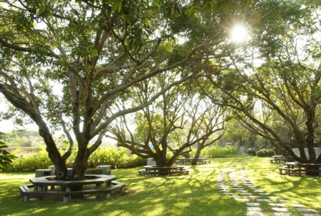 Kawayan Cove, Bamboo Beach, Nasugbu, Batangas, Property, For Sale, Lot ...