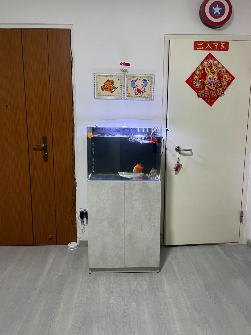 2ft fish tank Back filtration with media and light.have cover tank ...