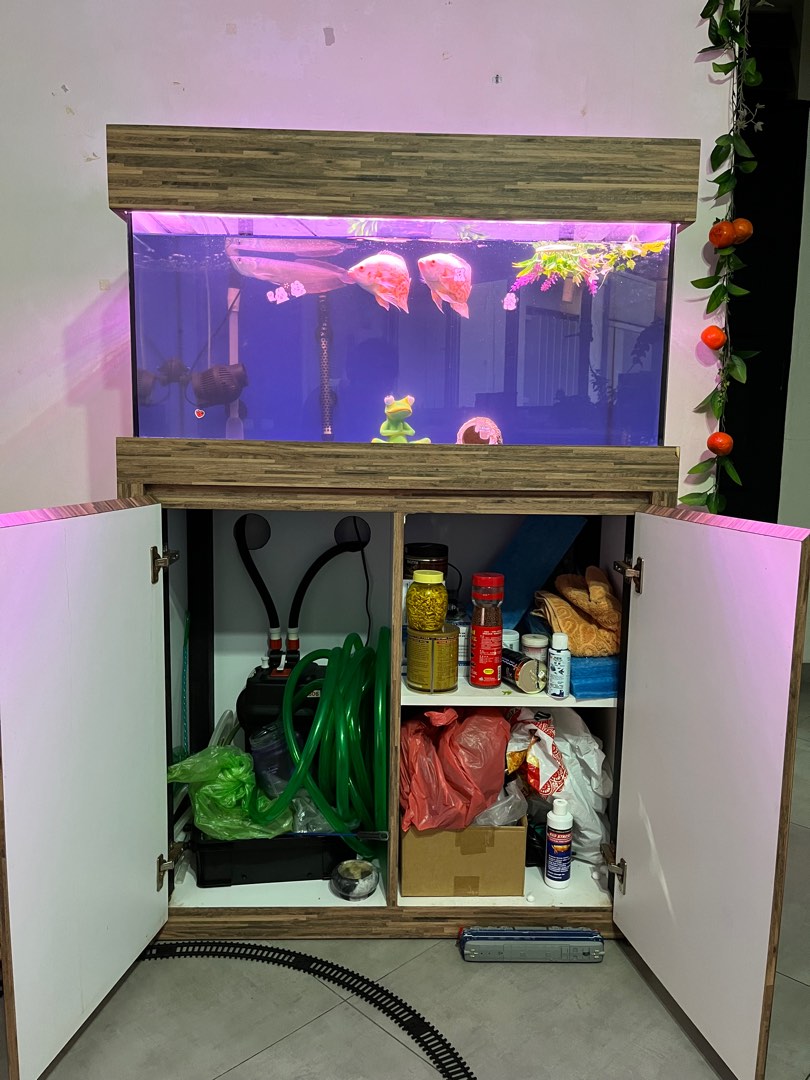 3 feet fish tank with cabinet and filter, Pet Supplies, Homes & Other ...
