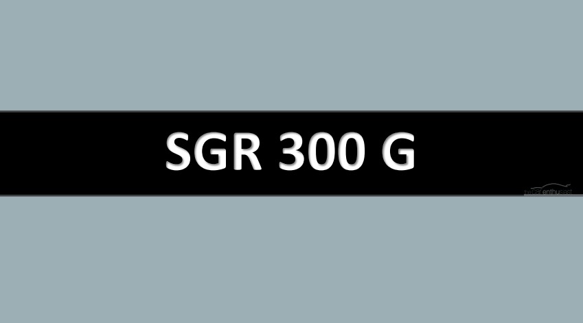 3-Digit Car Number Plate for Sale: SGR 300 G (SGR300G), Car Accessories ...