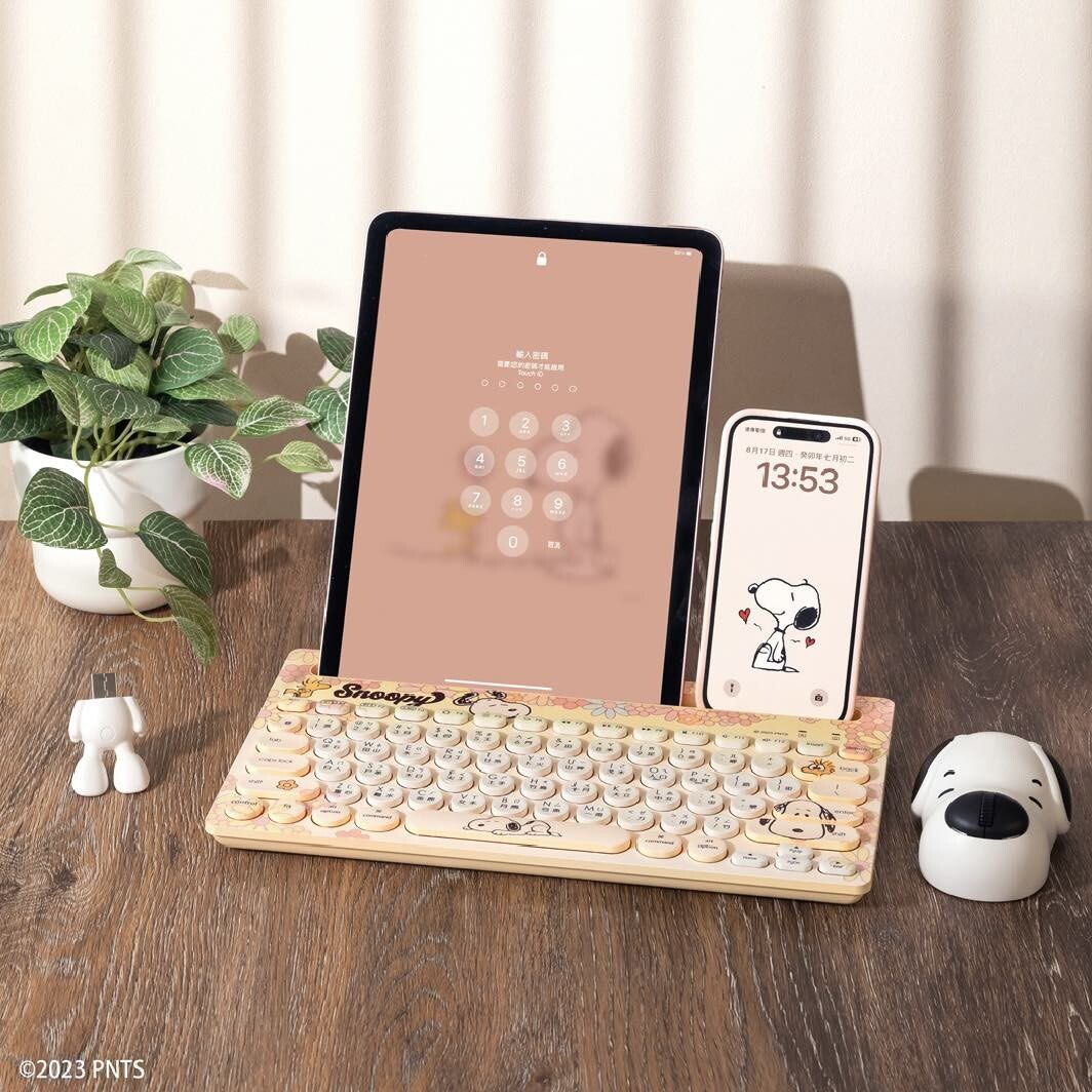 INFOTHINK x SNOOPY COLLECTION, Computers & Tech, Parts & Accessories, Other Accessories on Carousell