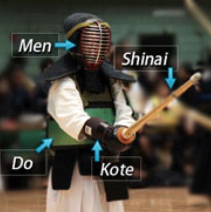 Kendo Body guard full set, Sports Equipment, Other Sports Equipment and ...