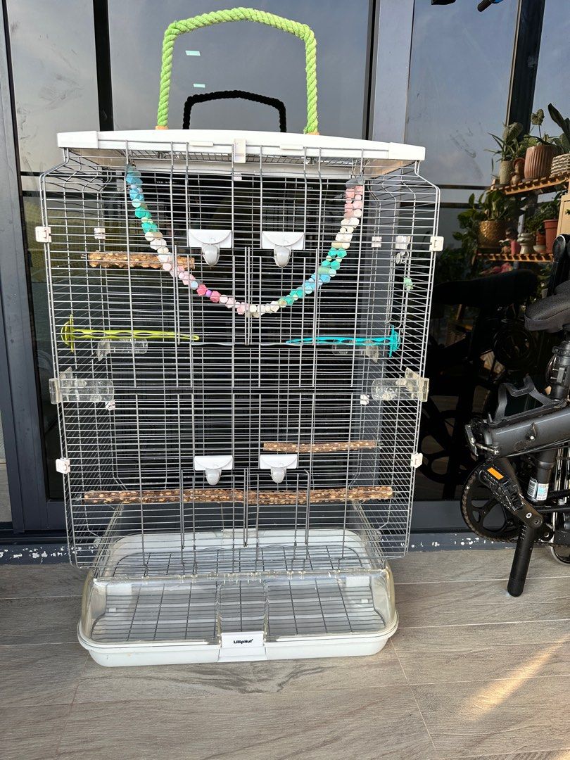 Lilliput Bird cage, Pet Supplies, Homes & Other Pet Accessories on ...