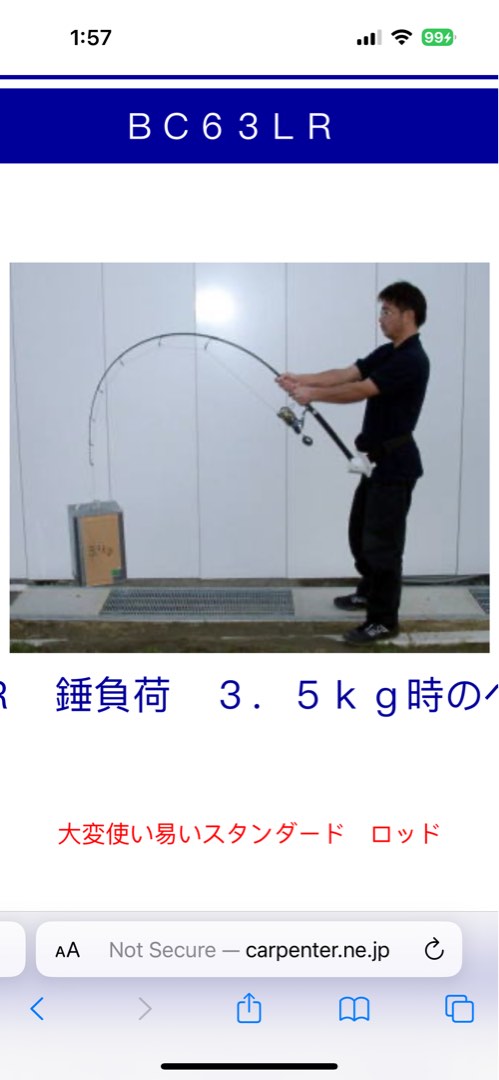 **Rare Rod** Carpenter Black Current 63LR, Sports Equipment, Fishing on ...