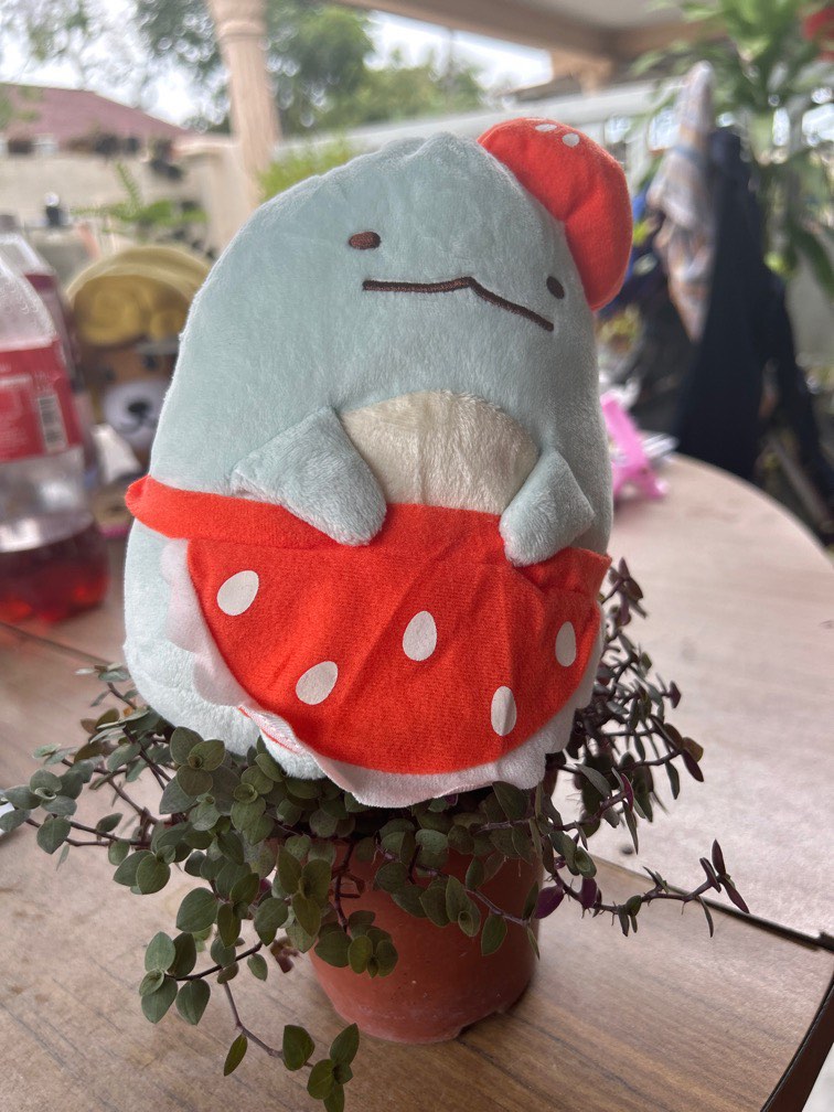 Sumiko gurashi, Hobbies & Toys, Toys & Games on Carousell