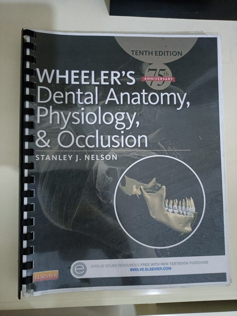 Wheeler's Dental Anatomy Book 10th Edition, Hobbies & Toys, Books ...