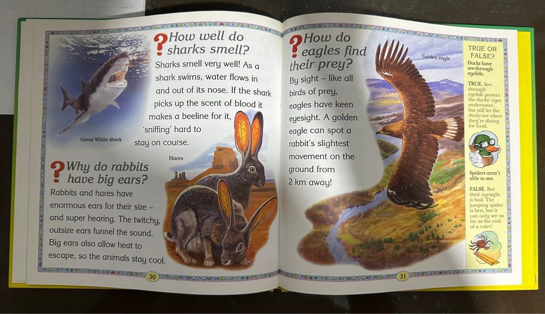 Why? Why? Why? Which animals have scaly skin? And other questions about ...