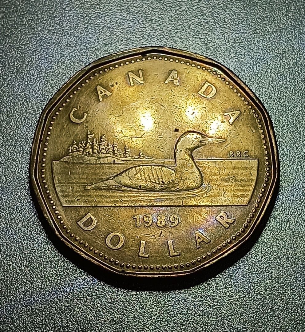1989 Canada 1 One Dollar Loonie Canadian Brilliant Uncirculated Coin ...