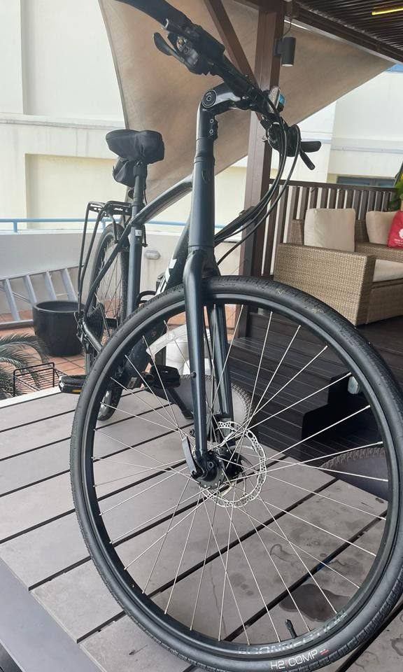 Bicycle-Trek flex 2 hybrid, Sports Equipment, Bicycles & Parts ...