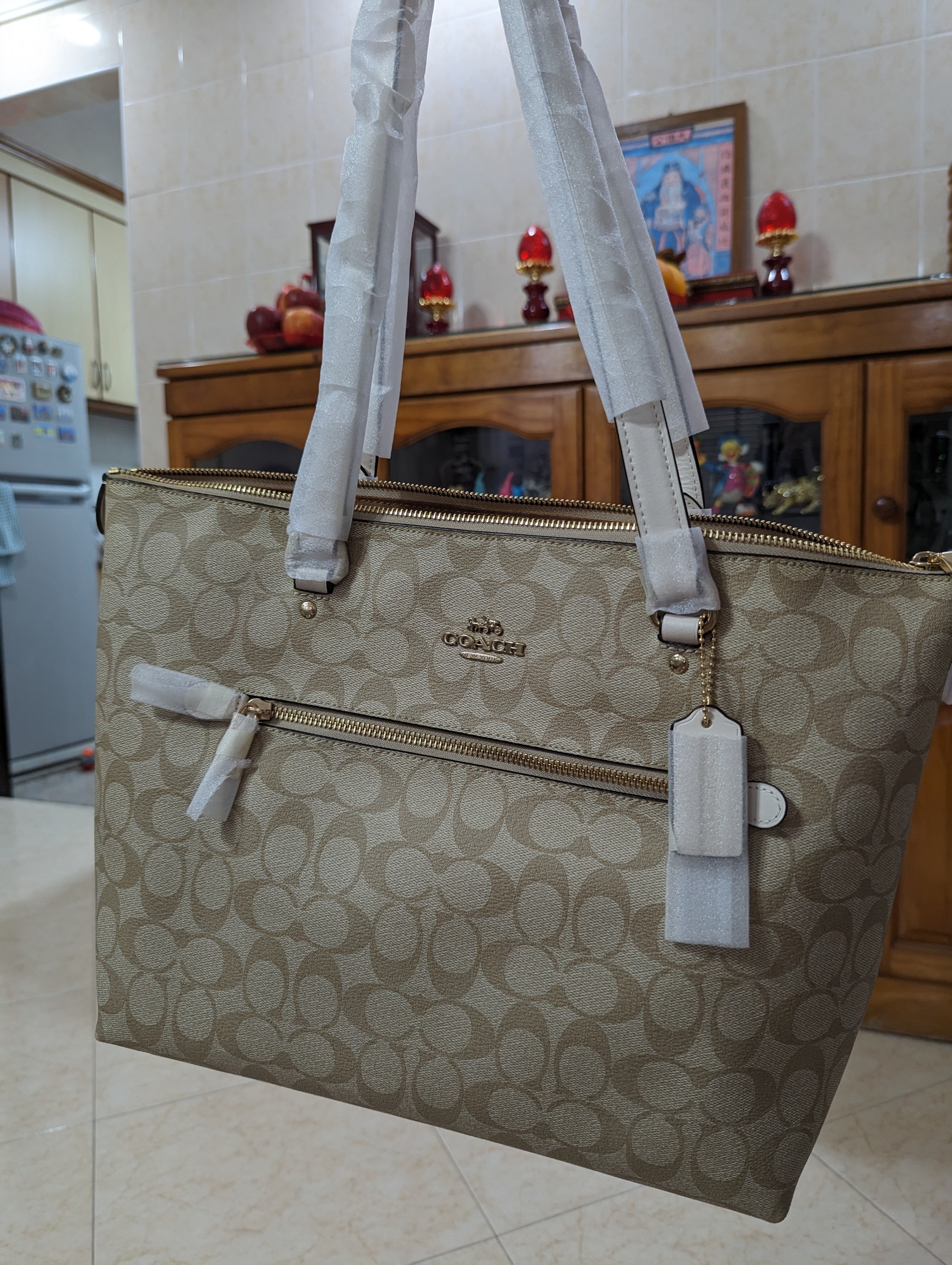 Brand New Coach Bag, Luxury, Bags & Wallets on Carousell