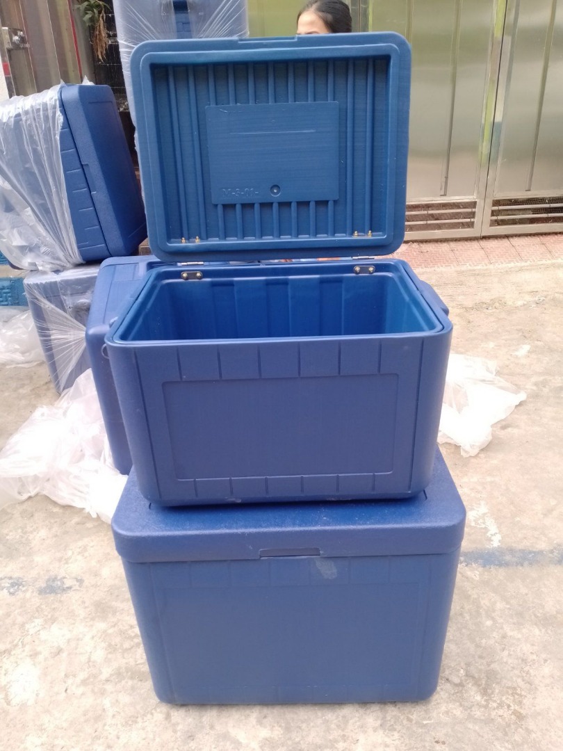 Cooler box, Furniture & Home Living, Home Improvement & Organization ...