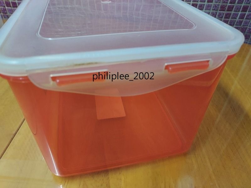 DAISO Plastic Container收納箱 收納盒 Storage Box, 傢俬＆家居, 其他, 收納箱及袋 - Carousell