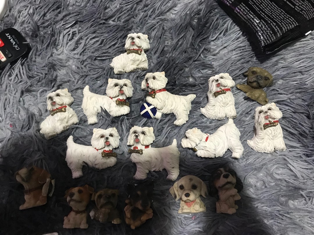 dog ref magnet take all on Carousell